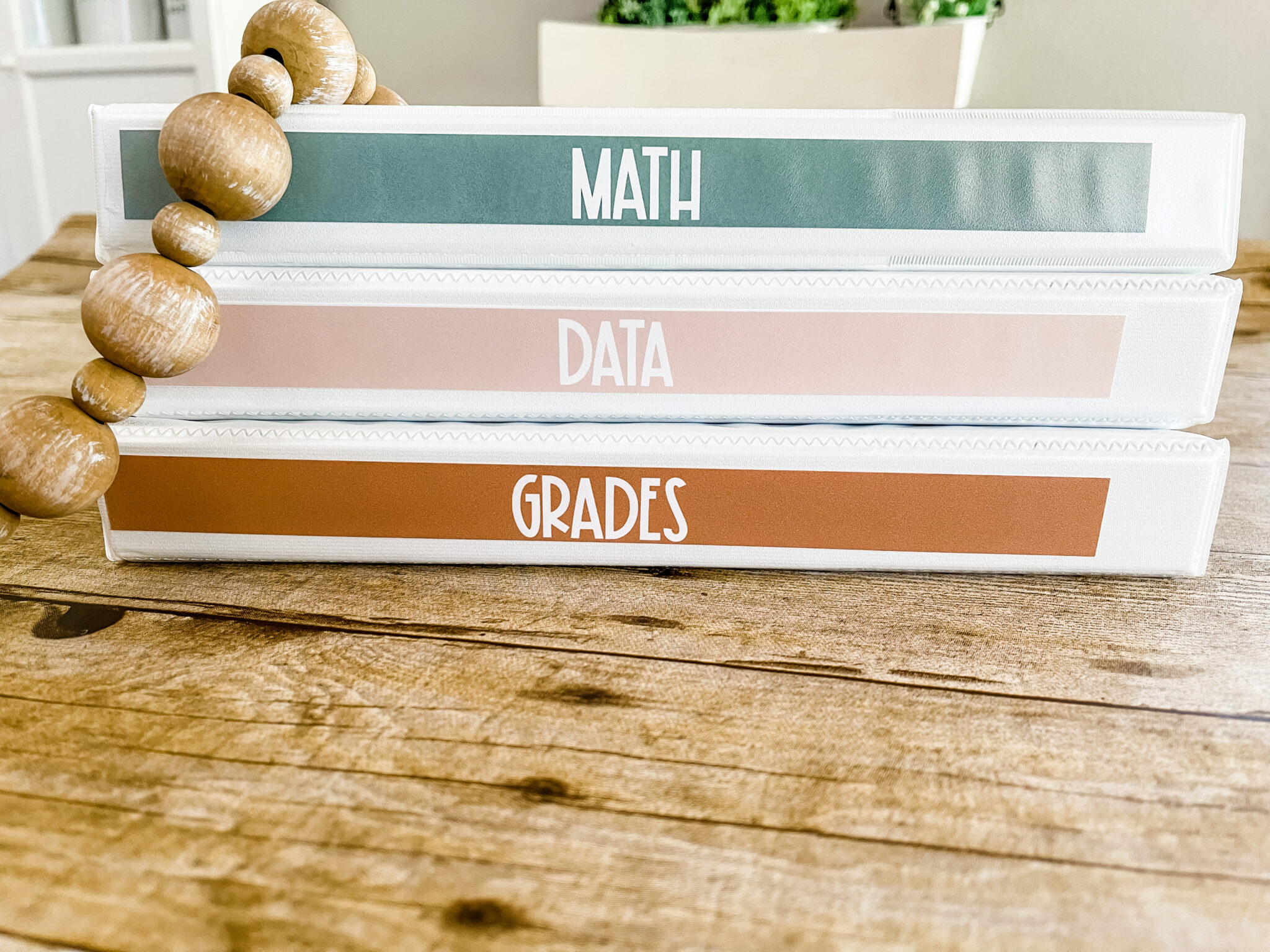 Boho Dreams Classroom Theme - Shayna Vohs