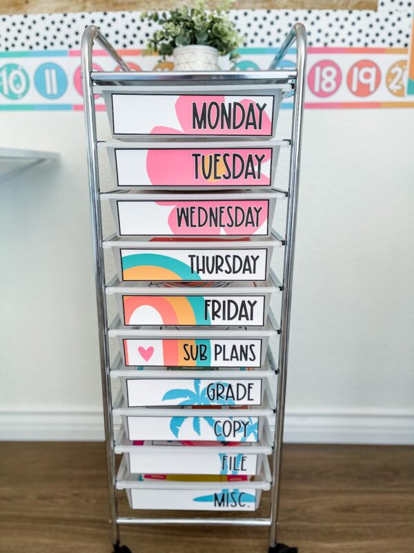 6 Fun Styles of 10 Drawer Cart Labels - Shayna Vohs