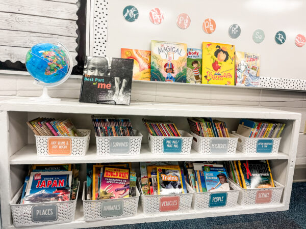 Crafting Cozy Corners: Your Go-To Guide for a Classroom Library ...