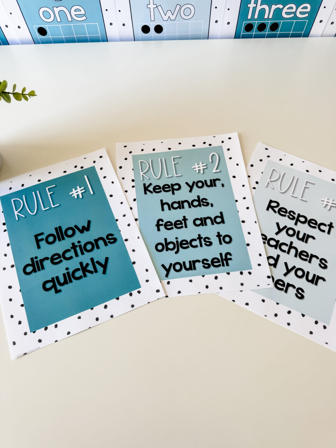 Simple + Blue Classroom Theme - Shayna Vohs